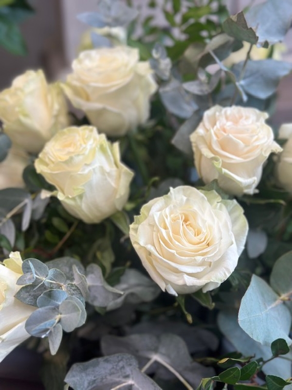Classic White Rose Box – buy online or call 01642 787989
